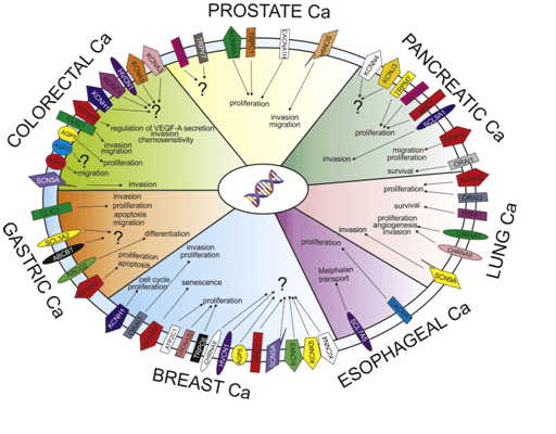Cancer Biomarkers I Ion Channel Screening Assays Cancer Biomarkers I Ion Channel Screening Assays