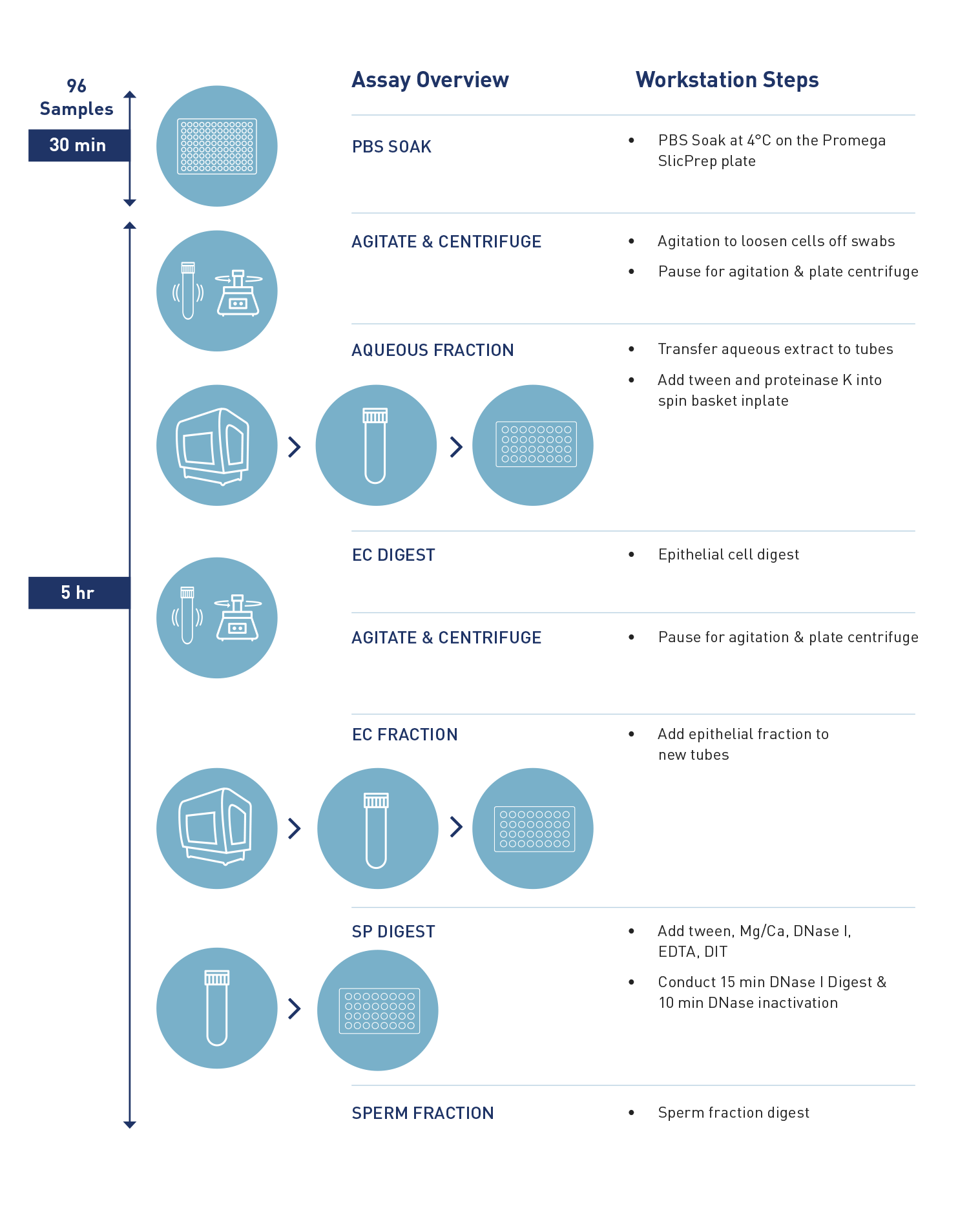 Automated Differential Digestion