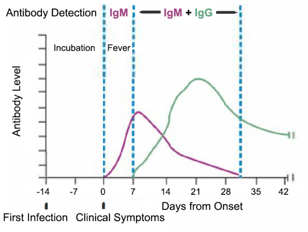 How Long Does It Take To Get Covid 19 Antibody Test Results Back How Long Does It Take To Get Covid 19 Antibody Test Results Back