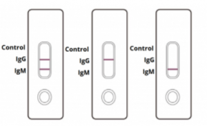 COVID-19 Antibody Rapid Test Result Interpretation - Aurora Biomed