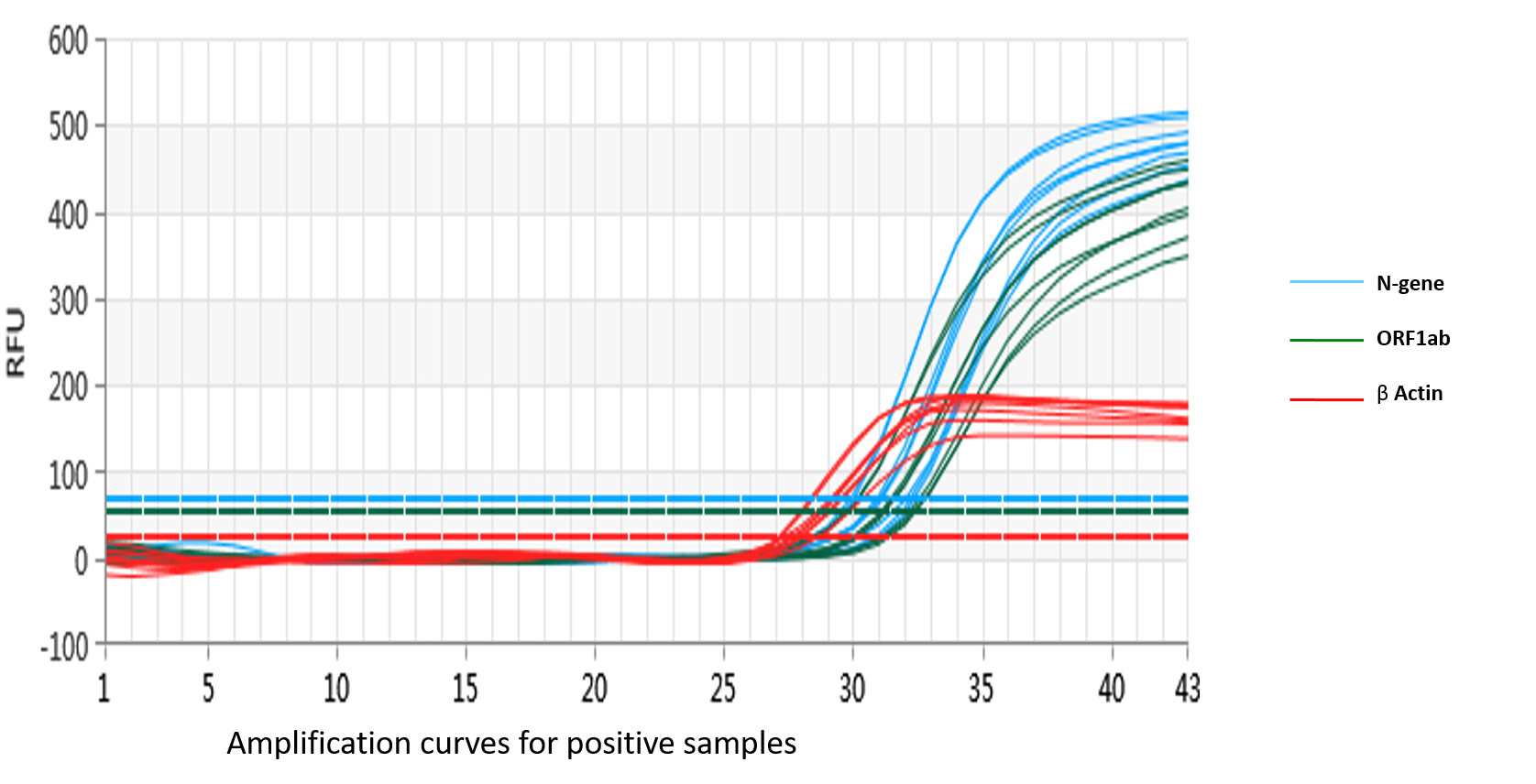 SARS-CoV2/IAV/IBV One-Step PCR