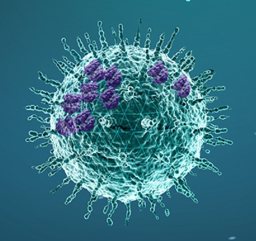 Peptide Microarray – COVID-19 - Aurora Biomed