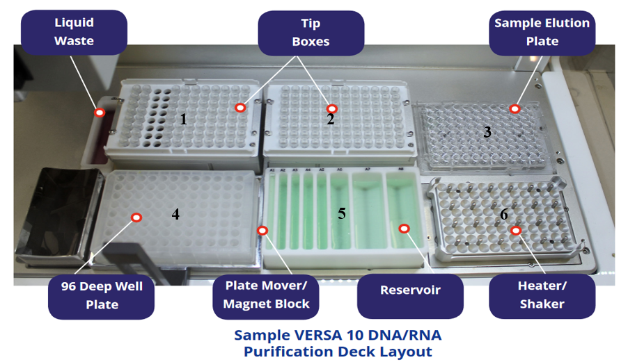 Elevating Genomic Research with Aurora's VERSA 10