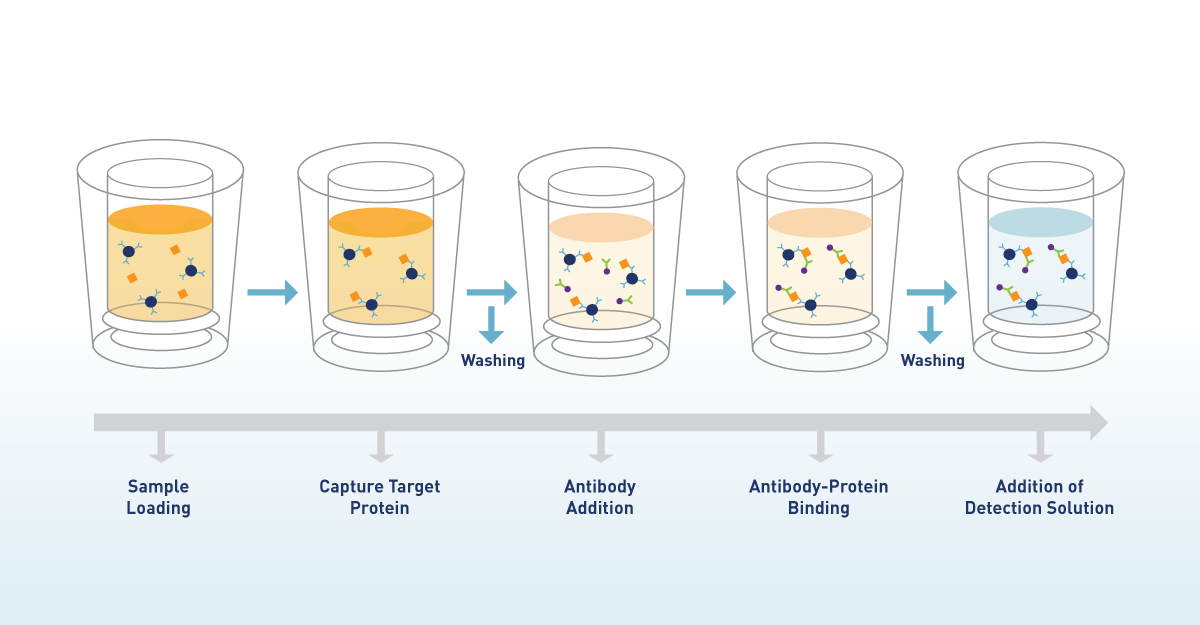 Resources - Aurora Biomed