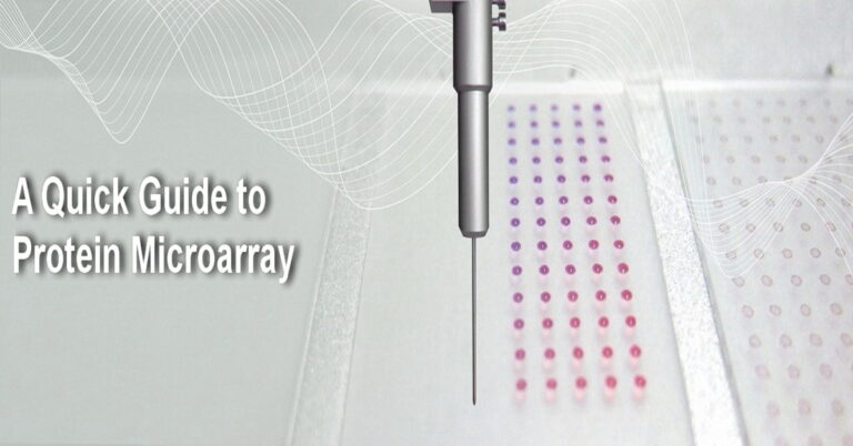 A Quick Guide to Protein Microarray - Aurora Biomed