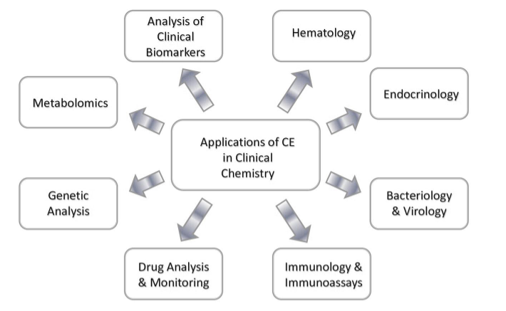 Capillary Electrophoresis in Focus: A Solution for Characterization and ...